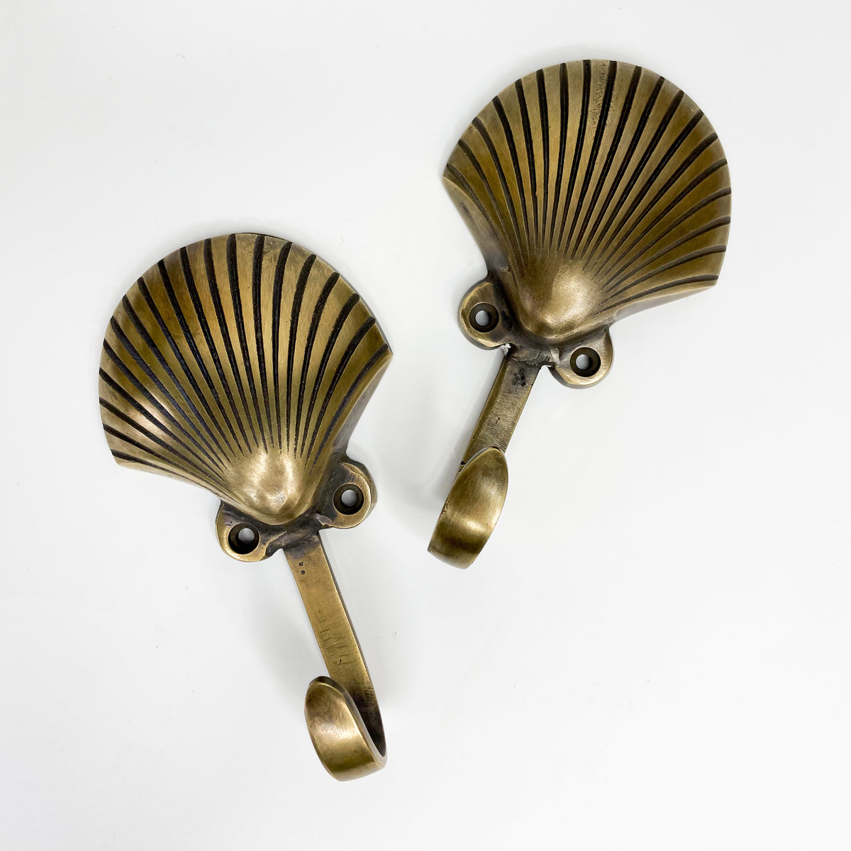 Kora Shell Brass Hook — kokonuts living