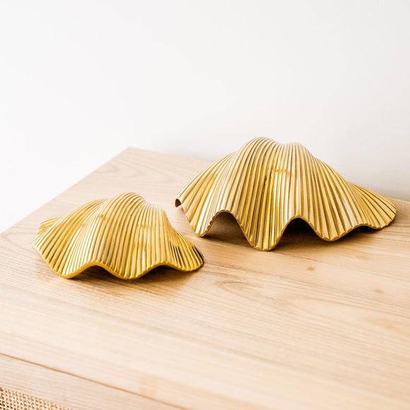 Brass Clam Shell Decor — kokonuts living